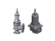 Consolidated 1900 & 1900 DM Safety Relief Valve with Eductor Tube Adv.