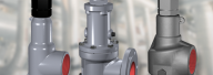 Valve Sales Inc., Consolidated Type 1900 Safety Relief Valve