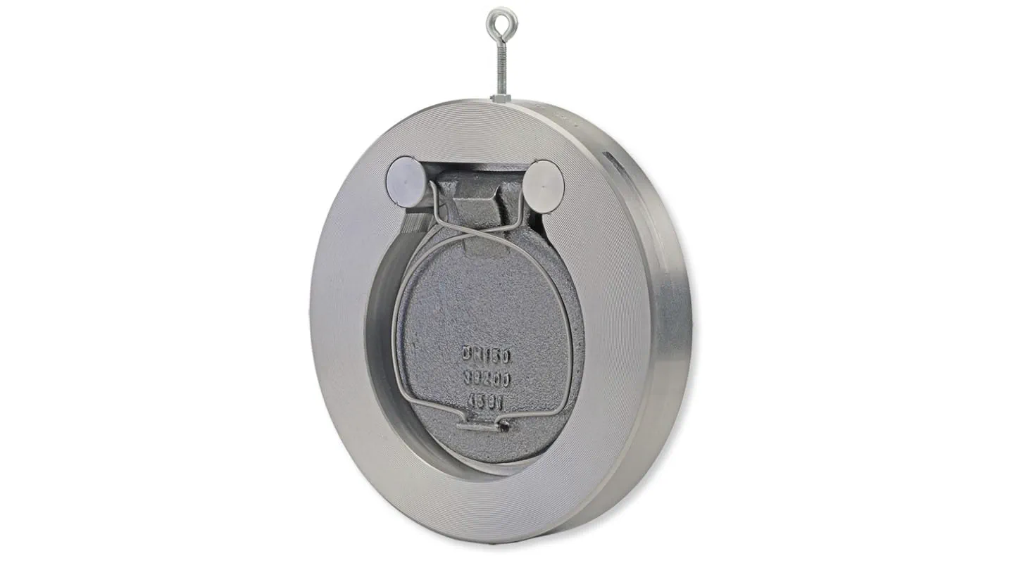 Gestra CB Swing Check Valves